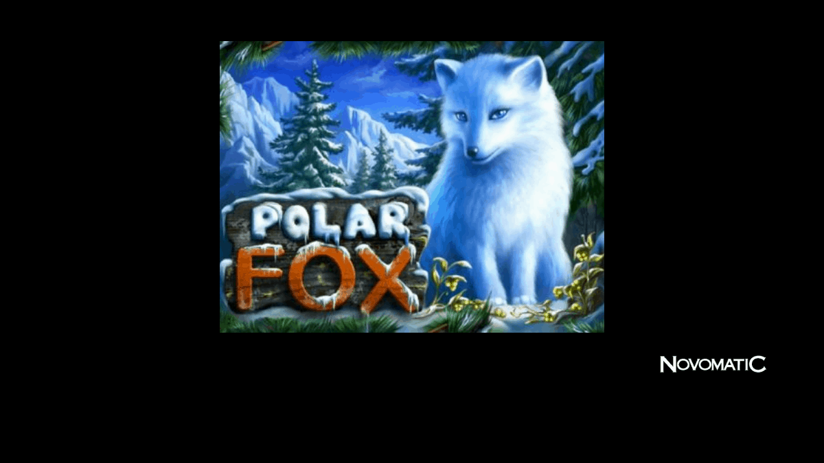 Polar Fox Slot Machine Online – Gioca Gratis
